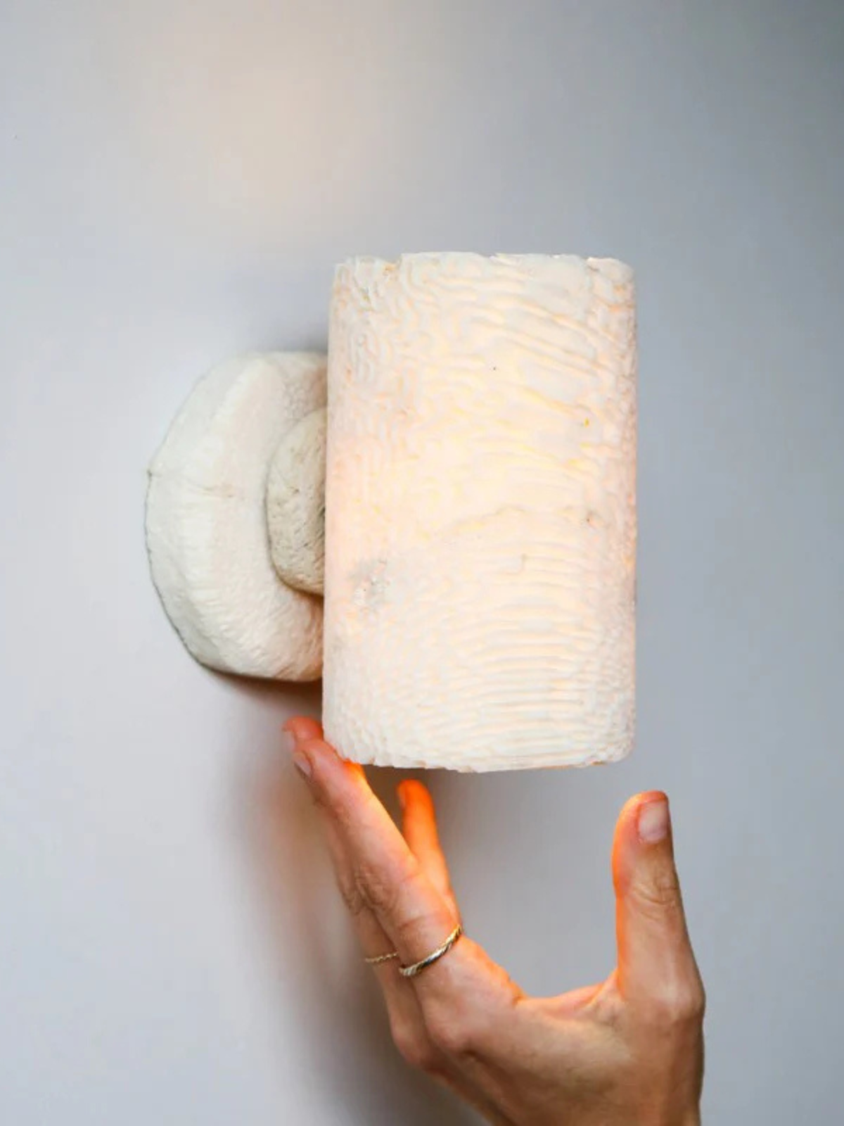 Fossil Coral Tube Wall Sconce – Three Balls Red